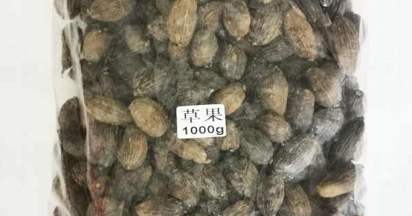 GRASS FRUIT （草果）