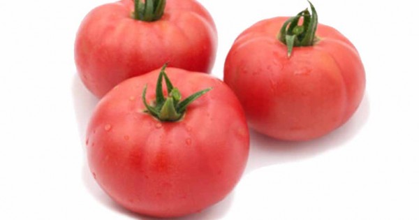 FRESH VEGETABLE TOMATOES JAPANESE / TOMATO JEPUN (日本番茄)