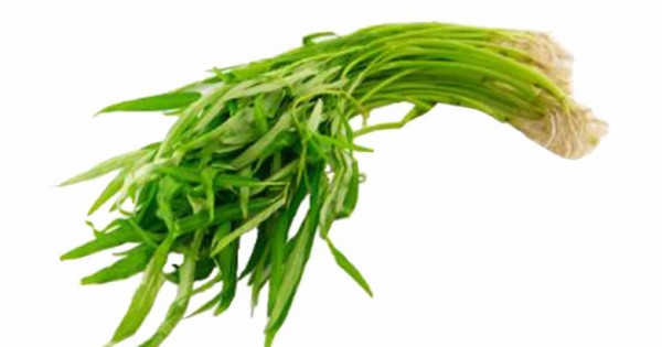 FRESH VEGETABLE WATER SPINACH / KANGKONG (空心菜)