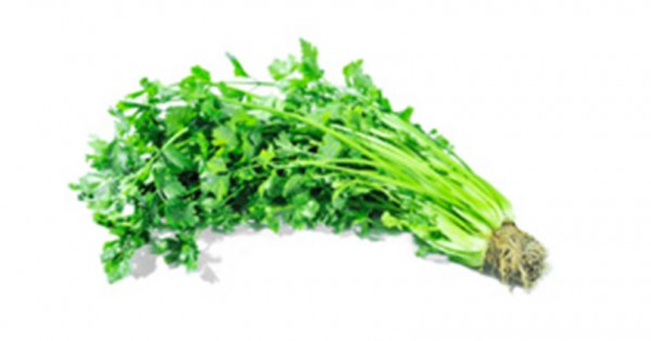 FRESH VEGETABLE CELERY LOCAL (芹菜)